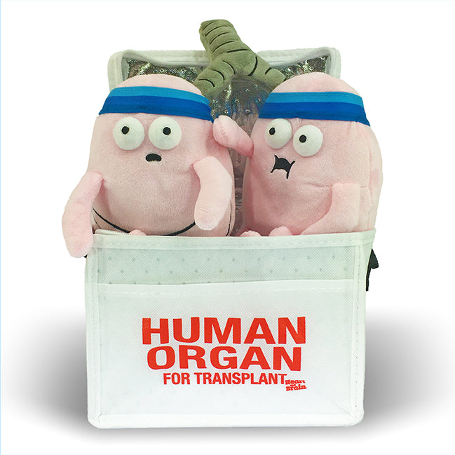 Lungs Plushie + FREE Organ Transplant Cooler