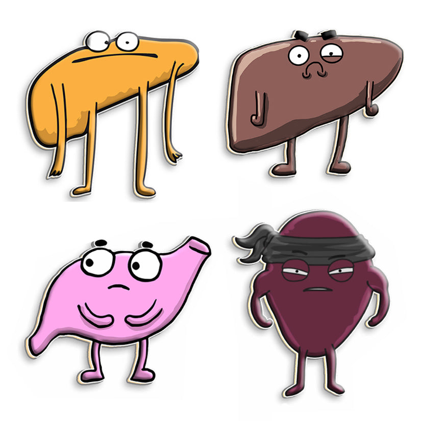 Organ Pin Set of 4